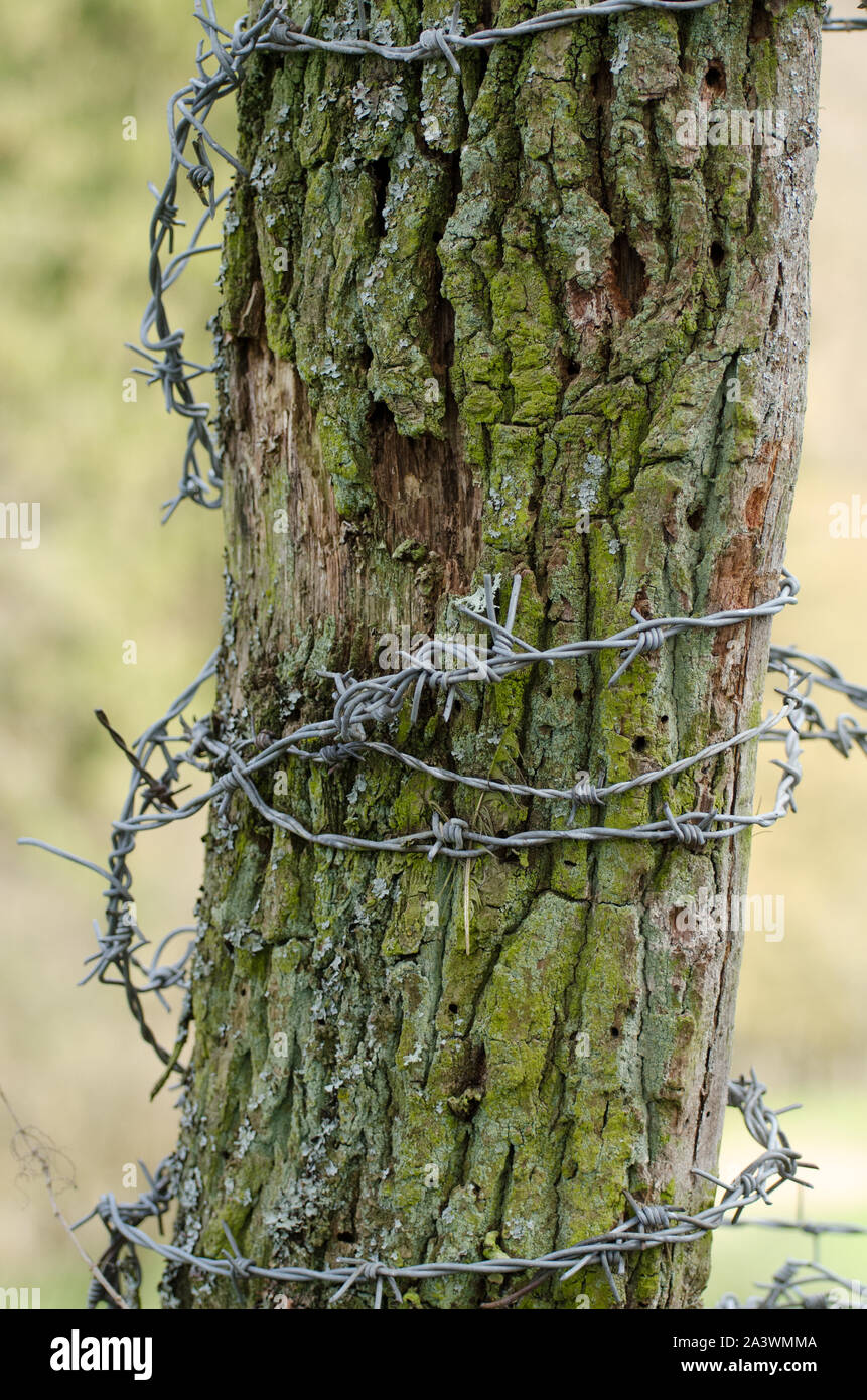 Metal fence post wire hi-res stock photography and images - Alamy