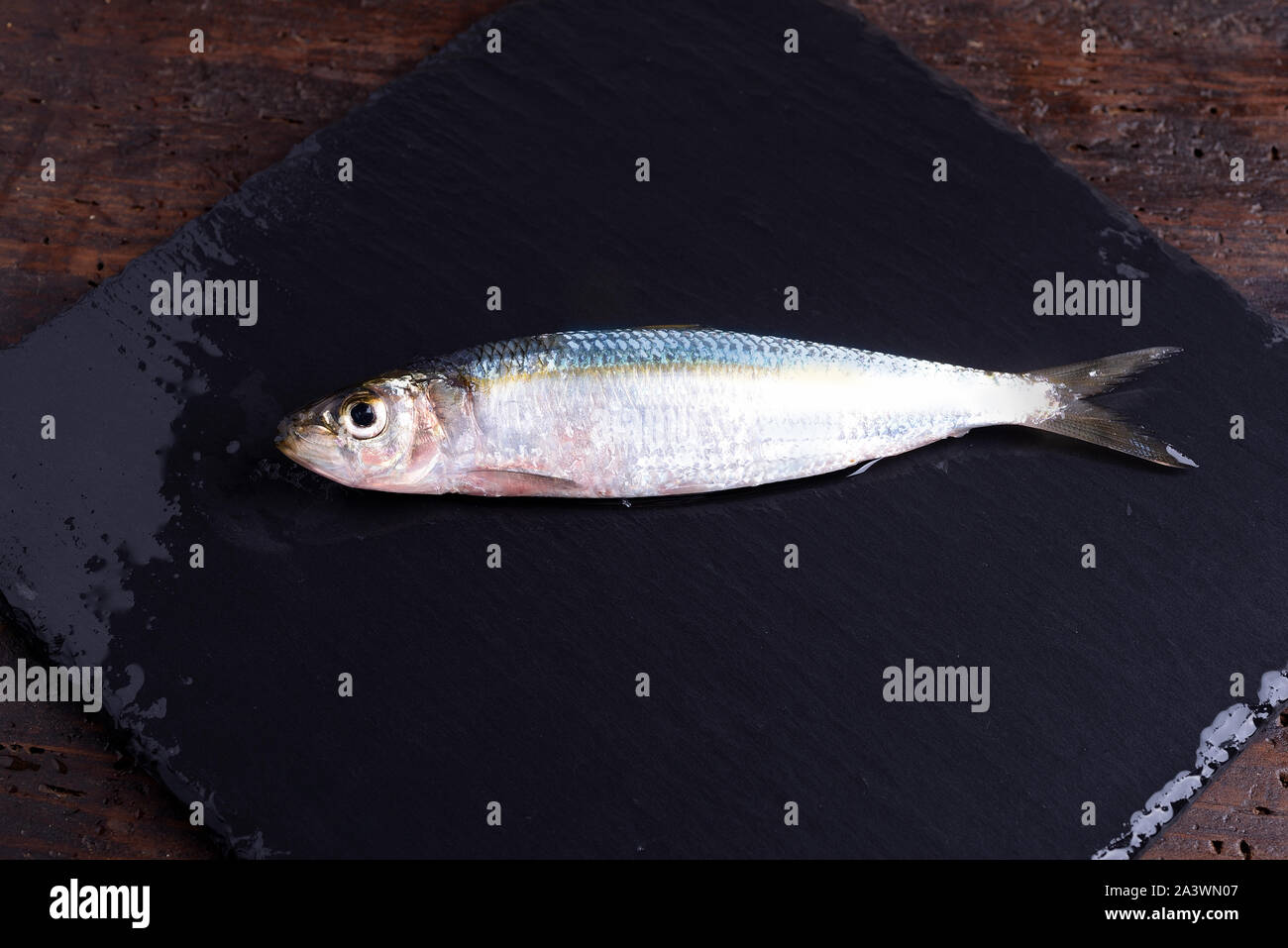 Sardinian fisherman hi-res stock photography and images - Alamy