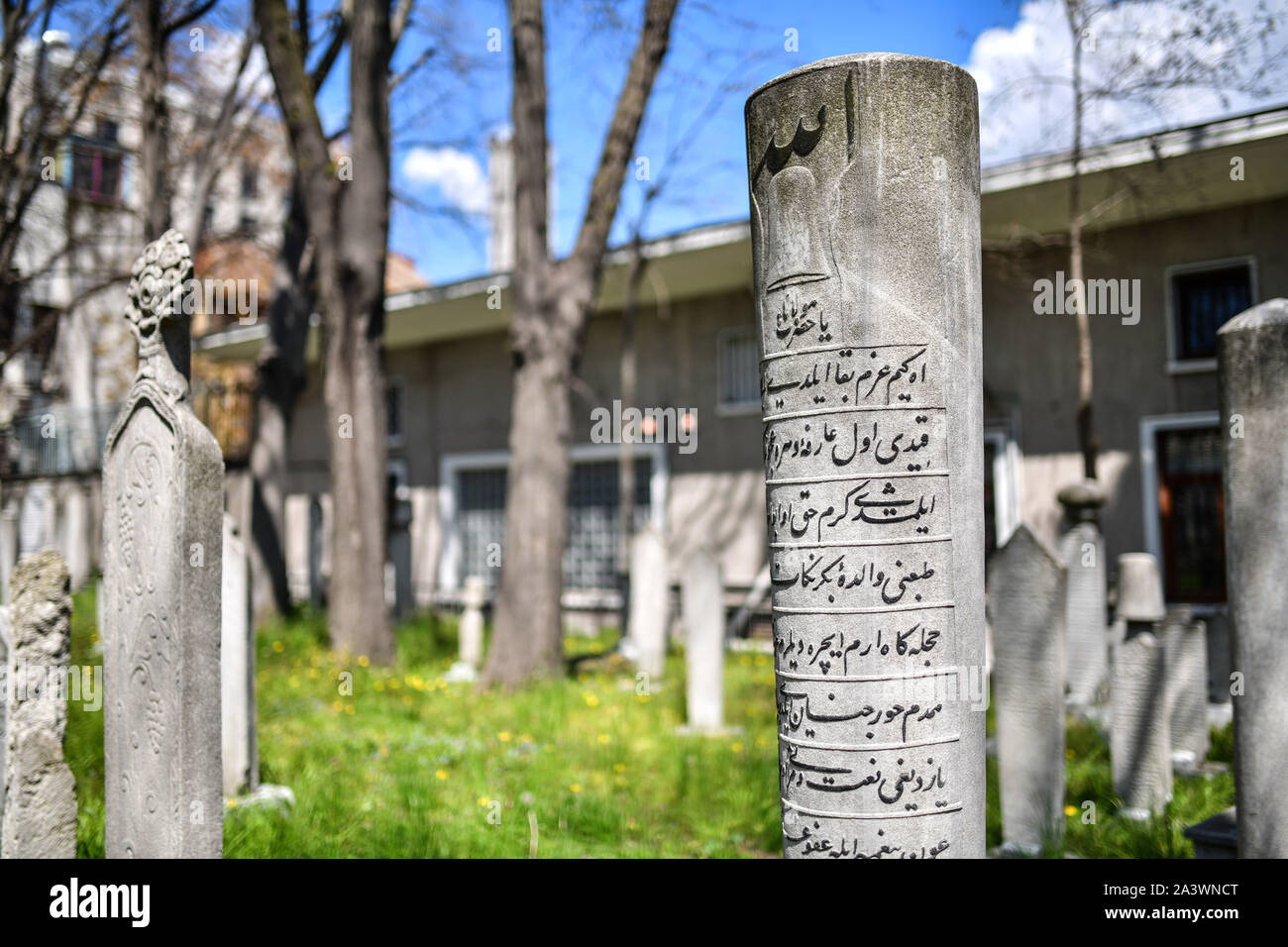 Turkey: Istanbul. Cemetery in the district of Galata Stock Photo - Alamy
