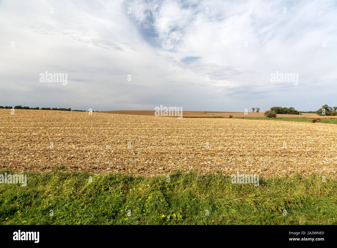 Iowa corn fields hi-res stock photography and images - Alamy