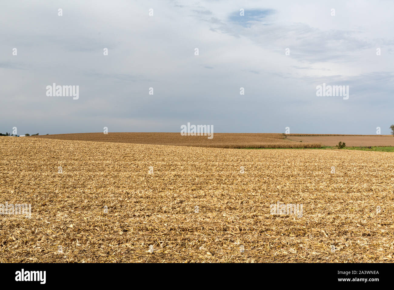 Iowa corn fields hi-res stock photography and images - Alamy