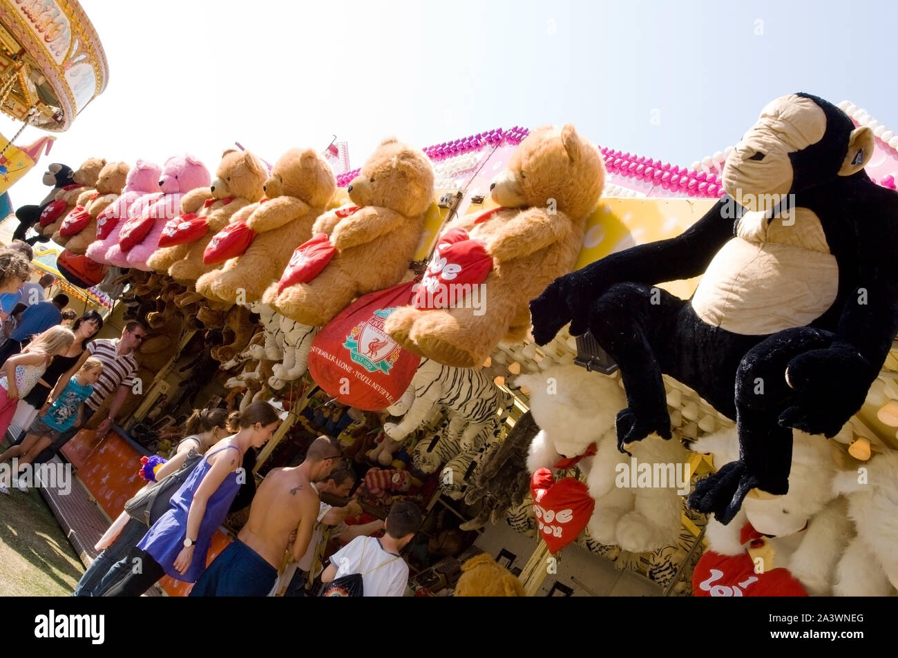 Rows of teddy bears at a local fair displayed as potential prizes at a ...