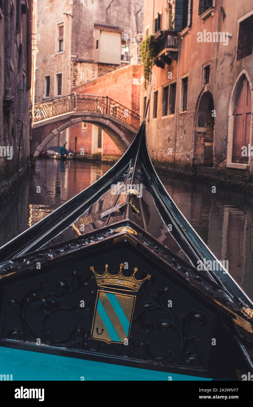 First Person Perspective