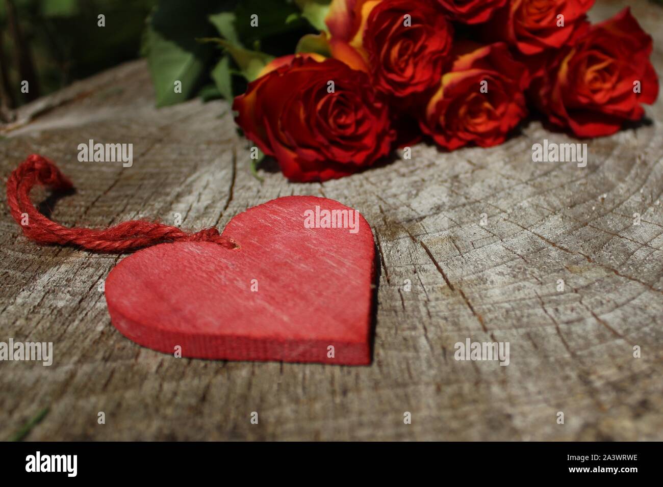 The picture shows a red roses and a heart Stock Photo - Alamy