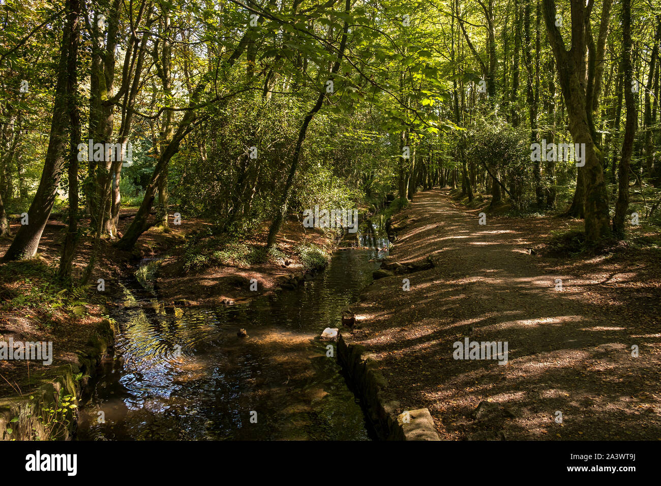 A walking route through Tehidy Country Park, the largest area of ...