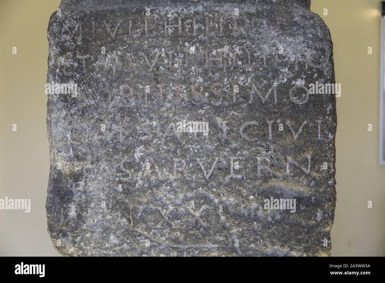 DETAIL OF THE MILESTONE OF VICHY EXHIBITED IN THE GRAND HALL DES ...