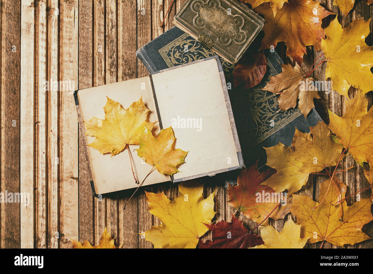 Colorful books wallpaper hi-res stock photography and images - Alamy