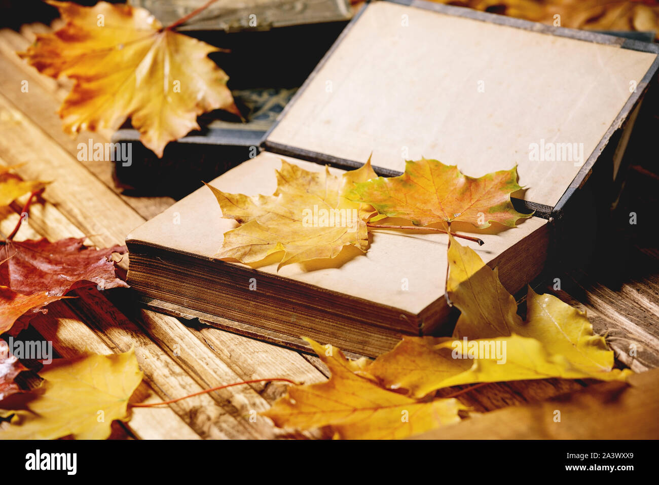 Books and autumn leaves Stock Photo - Alamy