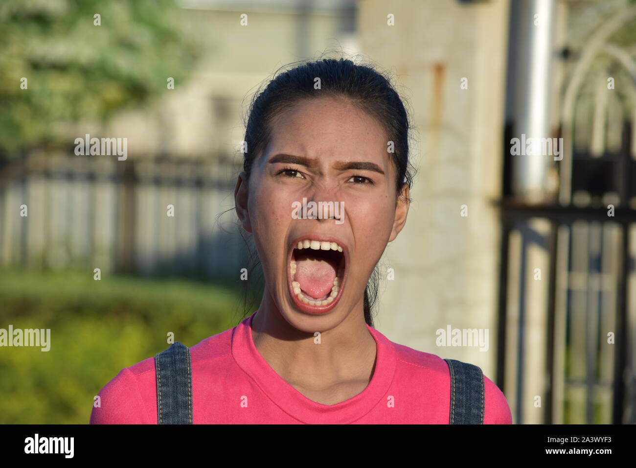 Mad Pretty Asian Female Stock Photo - Alamy