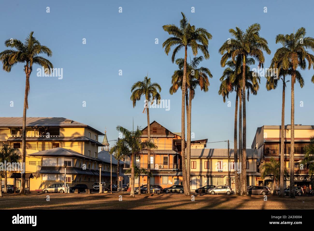 Place des palmistes hi-res stock photography and images - Alamy