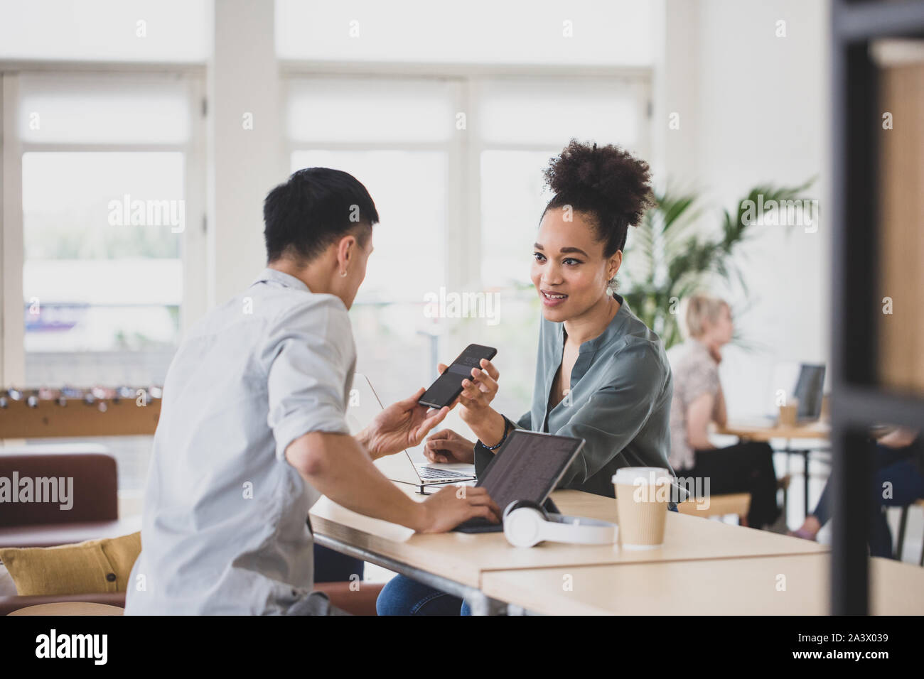 Young female freelancers working hi-res stock photography and images ...