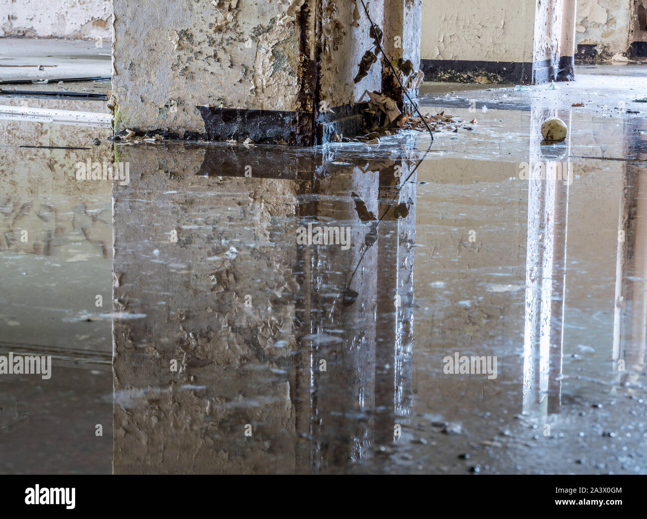 High water Damage Stock Photo - Alamy