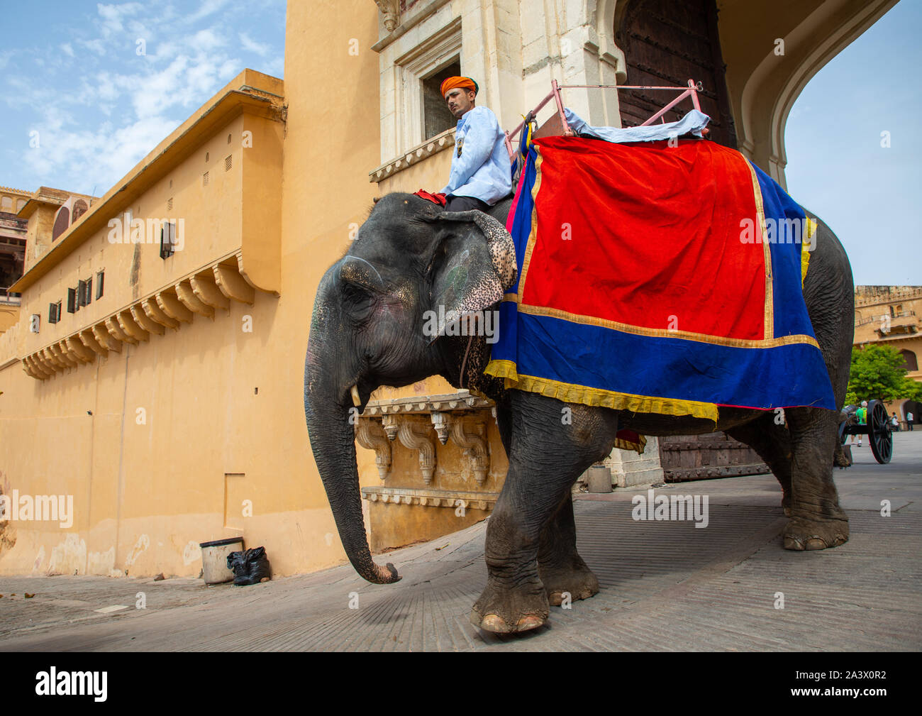 Elephant ride in Amer fort and palace, Rajasthan, Amer, India Stock ...
