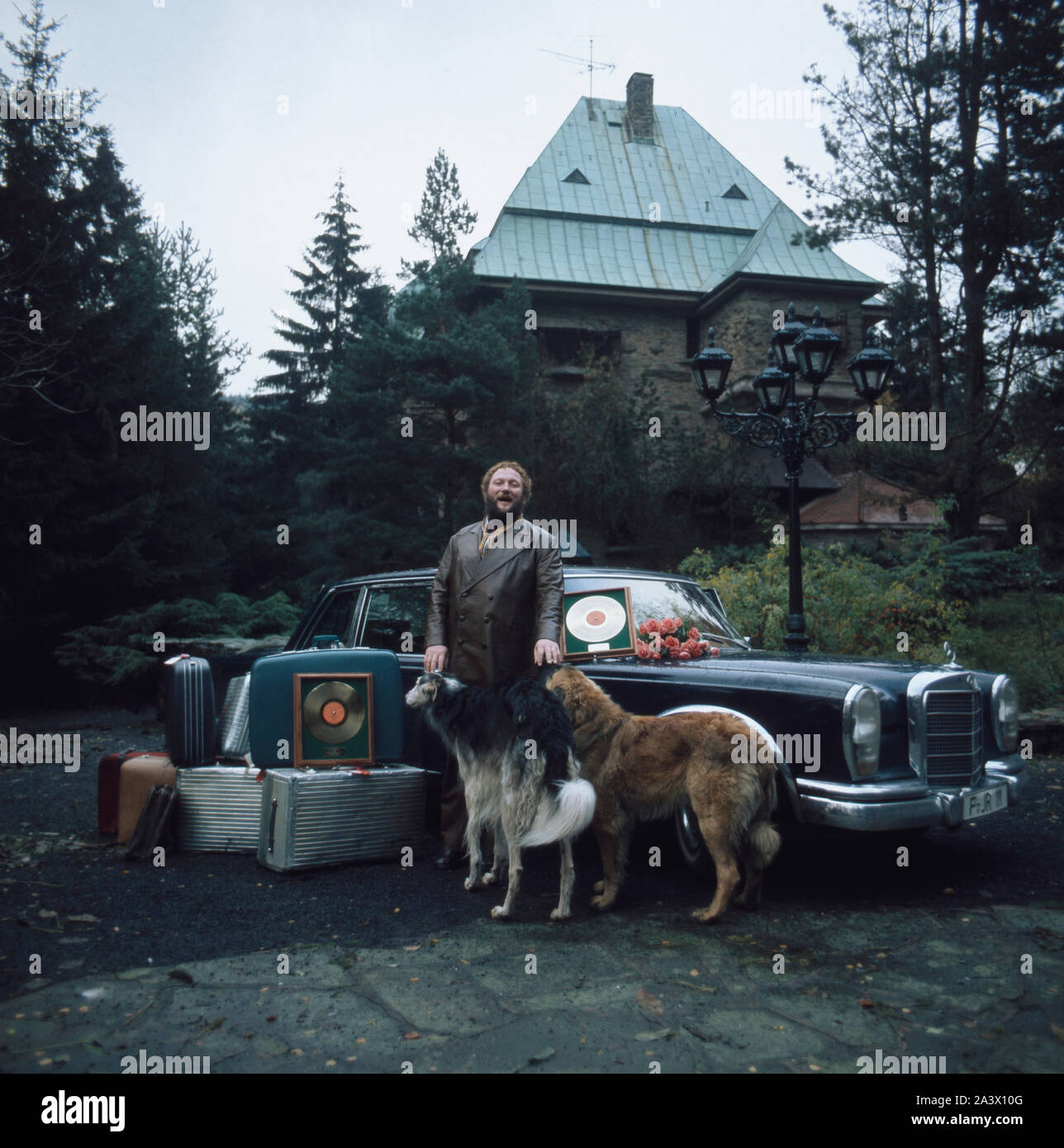 Hund im auto hi-res stock photography and images - Alamy