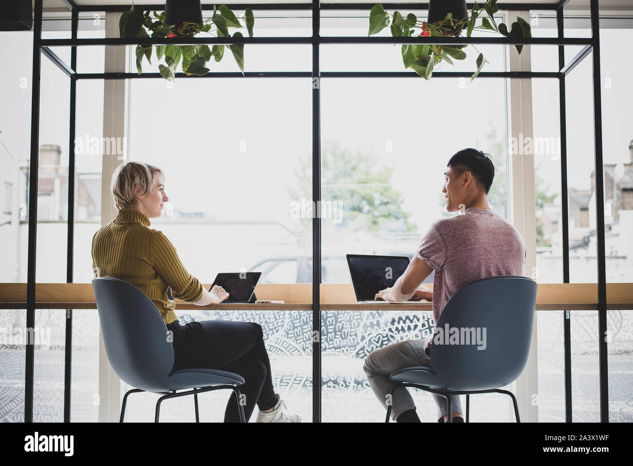 Young asian freelancer working laptop hi-res stock photography and ...