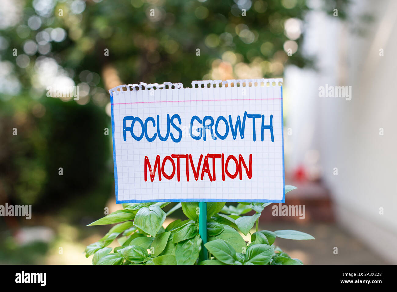 Word writing text Focus Growth Motivation. Business photo showcasing ...