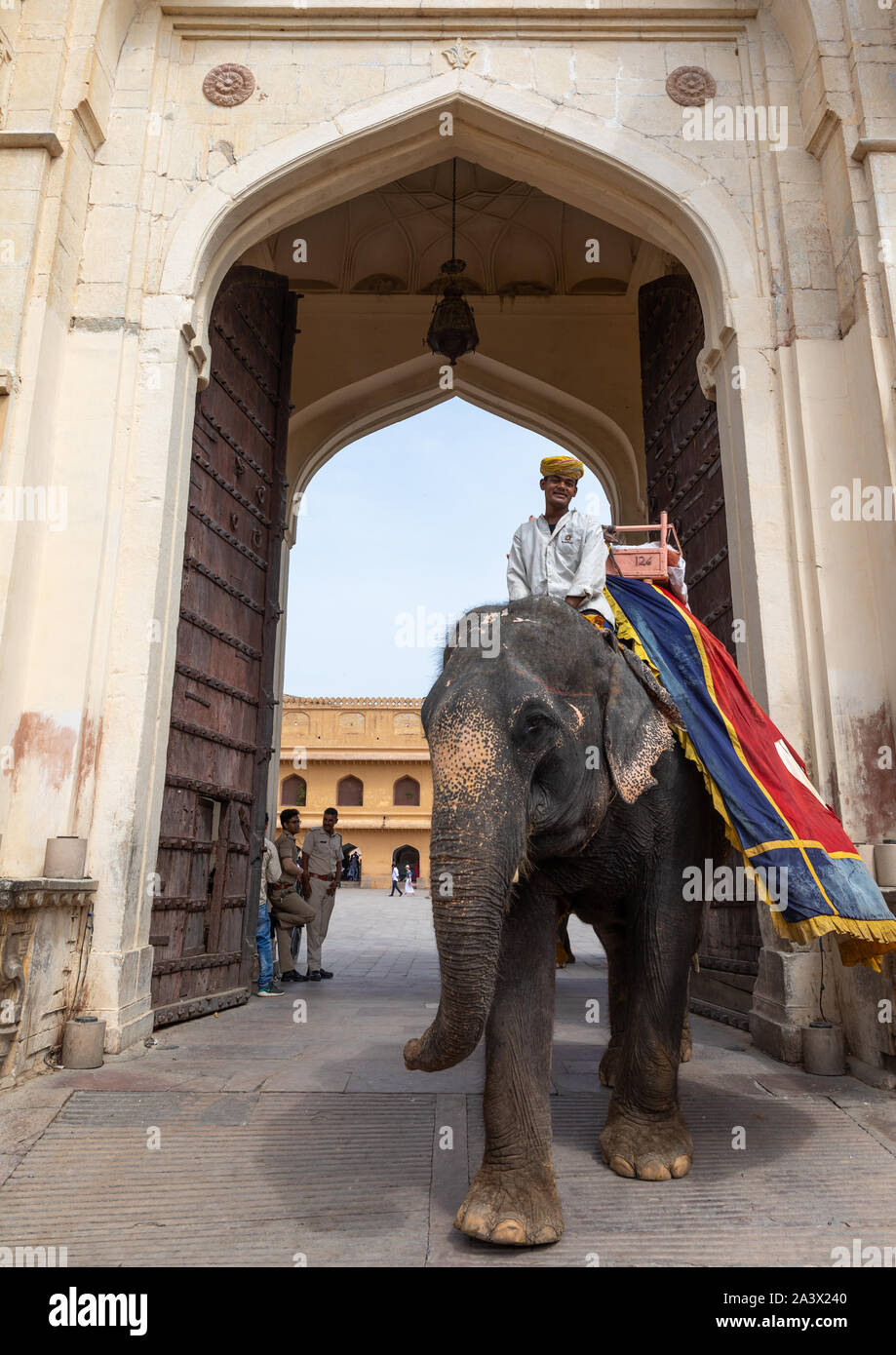 Elephant ride in Amer fort and palace, Rajasthan, Amer, India Stock ...