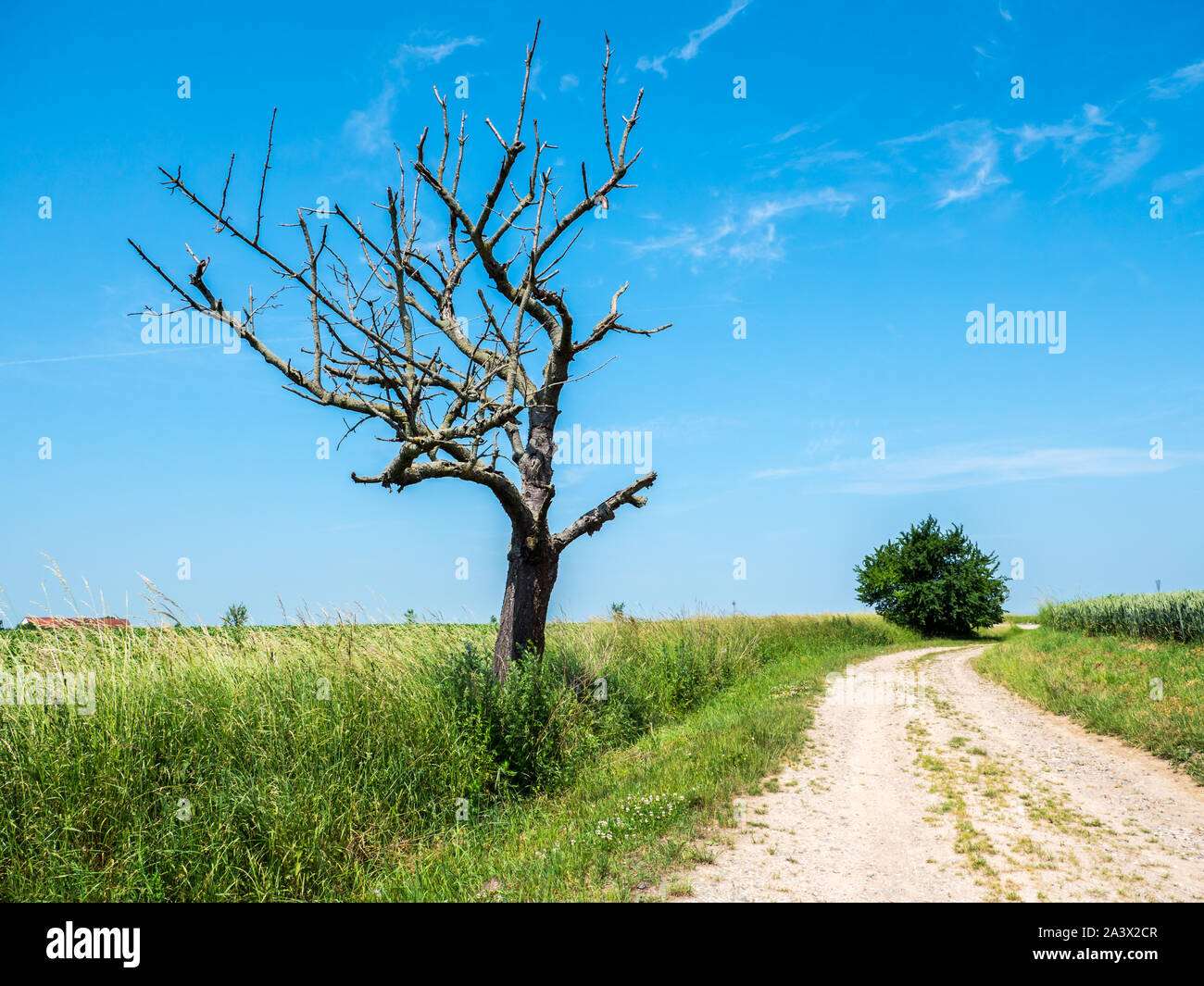 Pollution withered hi-res stock photography and images - Alamy