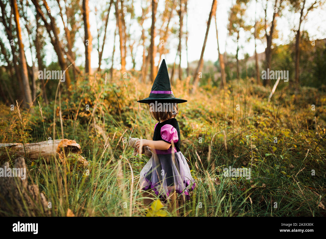 Girl walking disguised as a witch in the woods during Halloween Stock ...