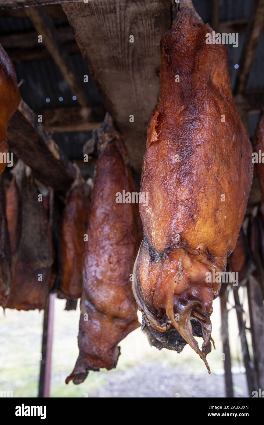 Shark meat drying hi-res stock photography and images - Alamy