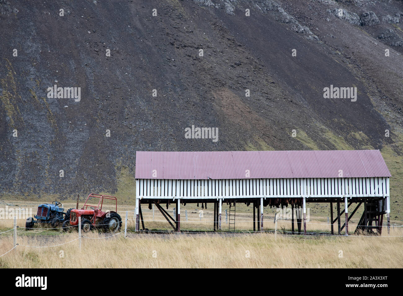 Shark meat drying hi-res stock photography and images - Alamy
