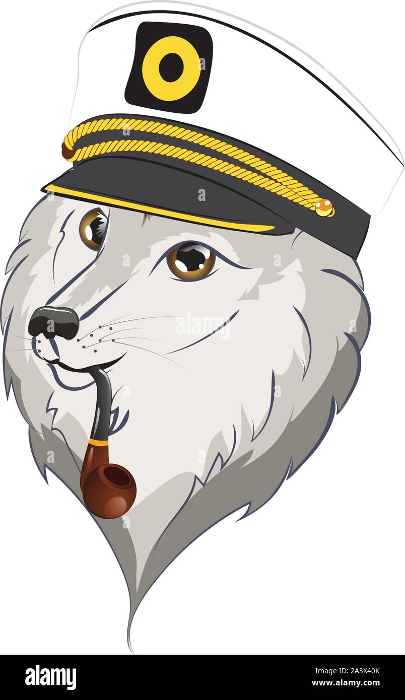 Captain wolf Stock Vector Images - Alamy