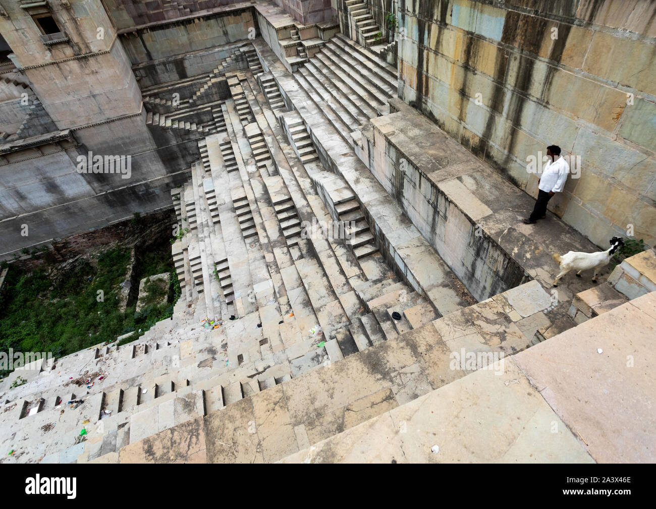 Indian man with his goat in dhabhai ka Kund stepwell, Rajasthan, Bundi ...