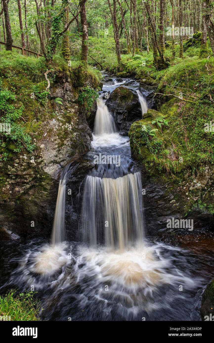 Cree summer hi-res stock photography and images - Alamy