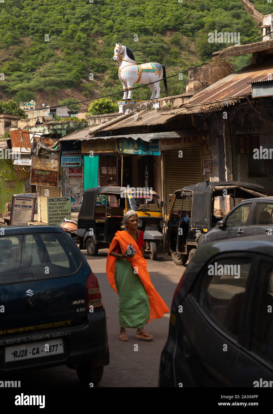 Statue of the horse ridden into battle by ummed singh, Rajasthan, Bundi ...