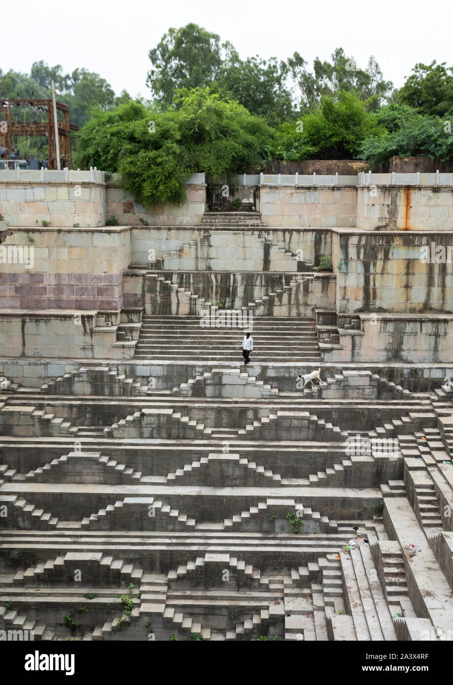 India rajasthan goat hi-res stock photography and images - Alamy