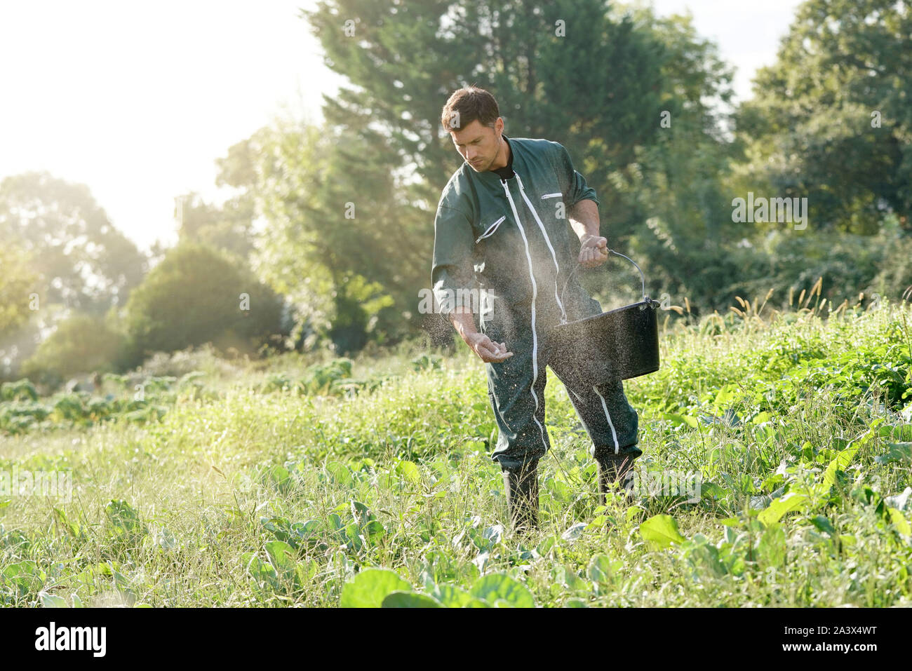 Farmer sowing seeds in field Stock Photo - Alamy