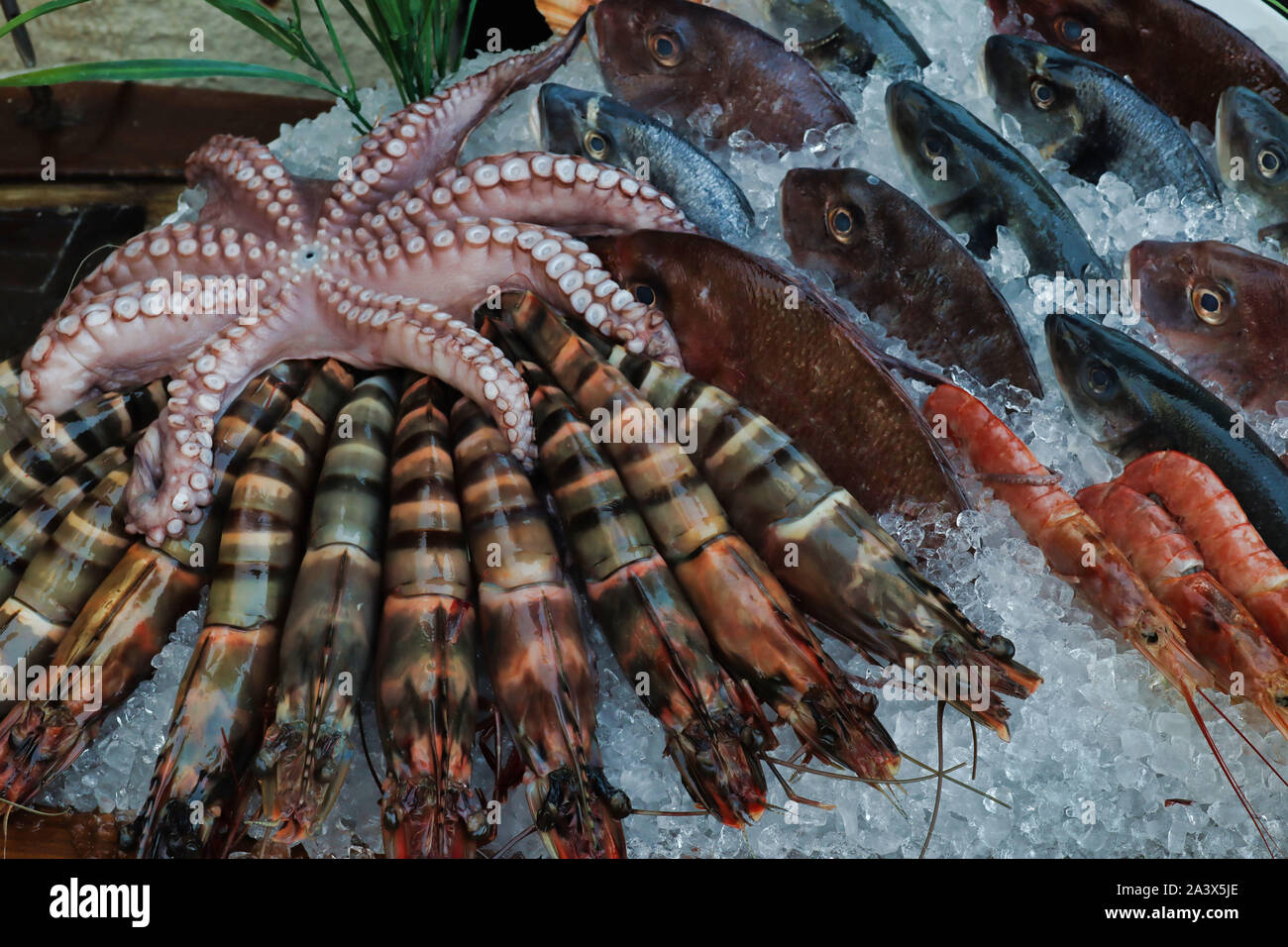 Fresh fish platter outside a restaurant Stock Photo - Alamy