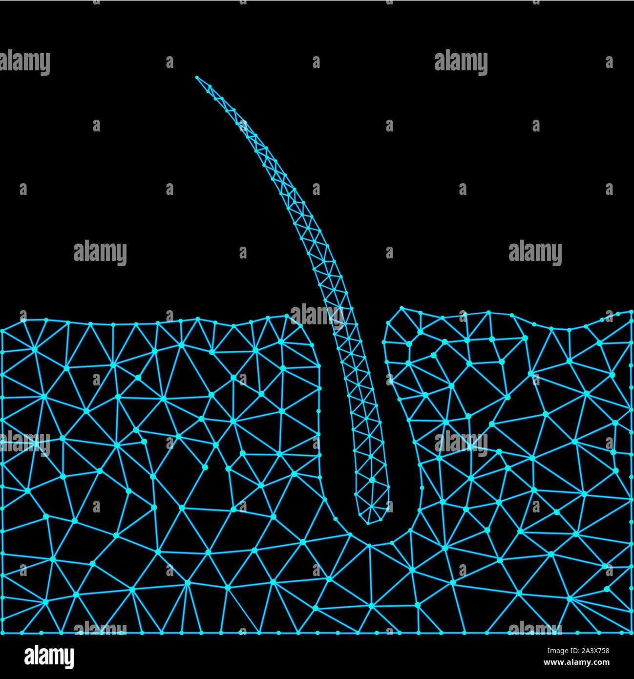 Abstract structure of hair growth. Vector illustration Stock Vector ...