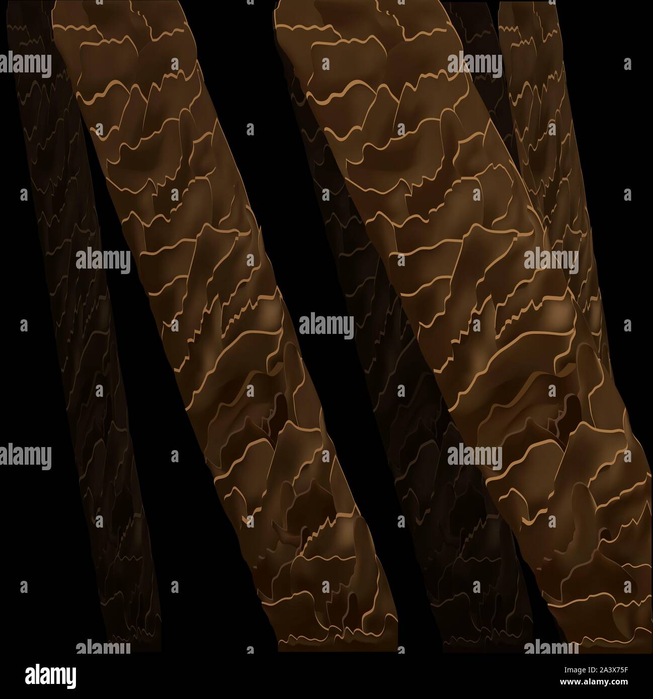 Anatomical structure of the hair under the microscope close-up. Vector ...