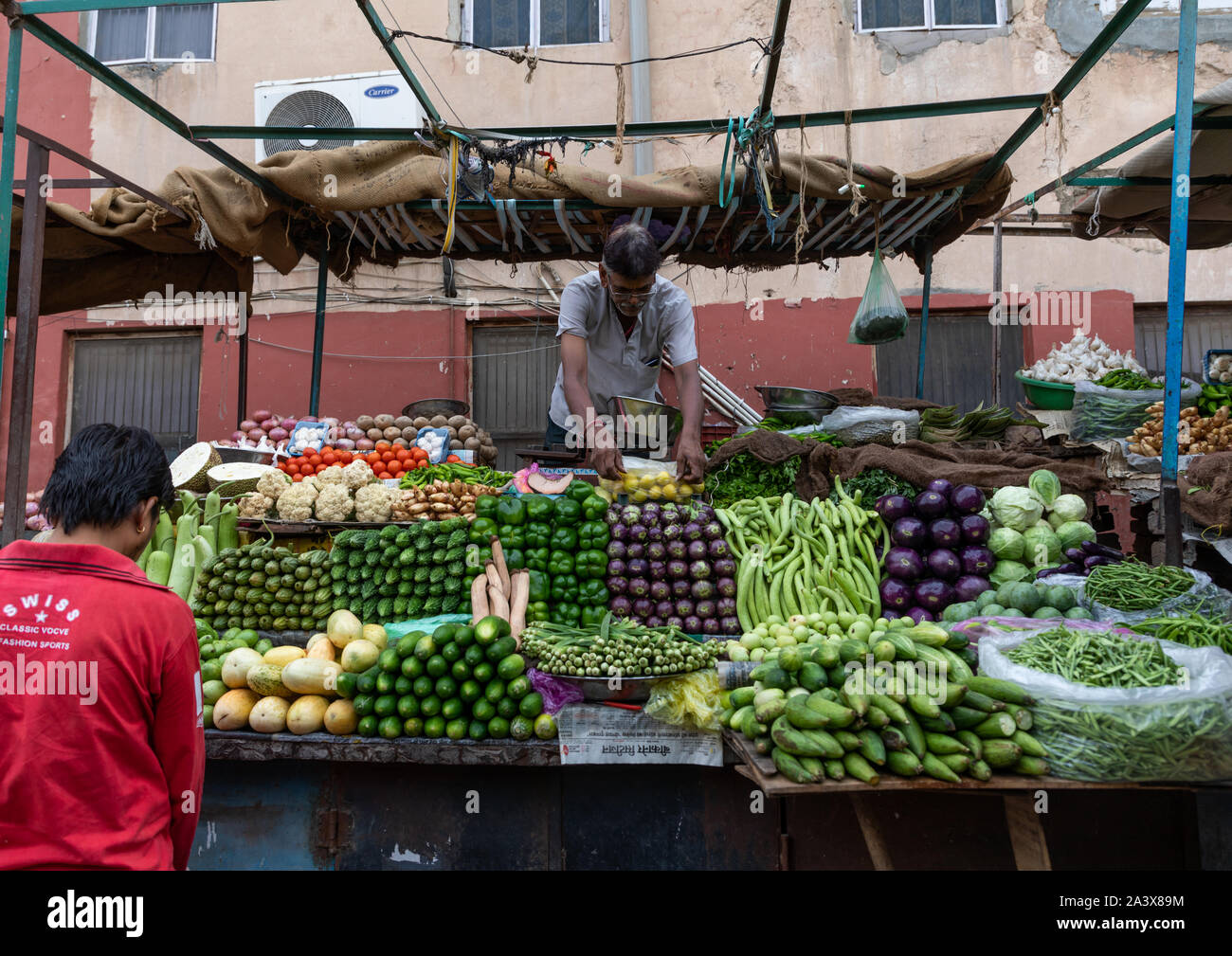 Indian man selling vegetables in a market, Rajasthan, Bikaner, India ...