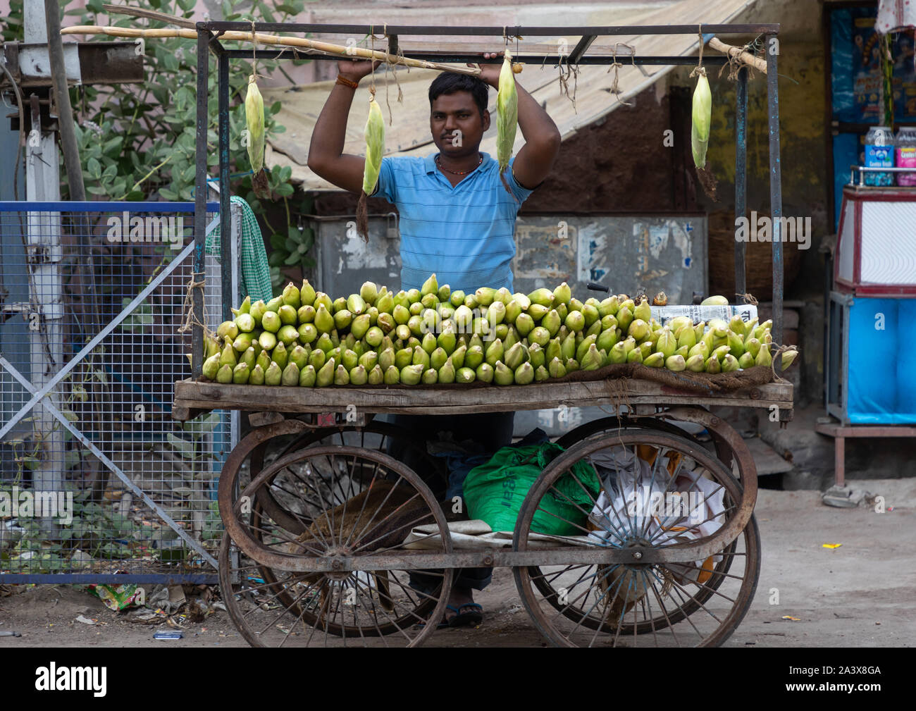 Man selling corn hi-res stock photography and images - Alamy