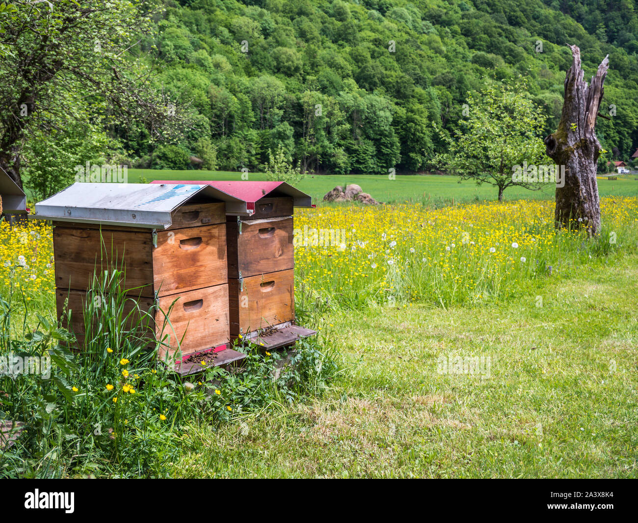 Beehive wooden hi-res stock photography and images - Alamy