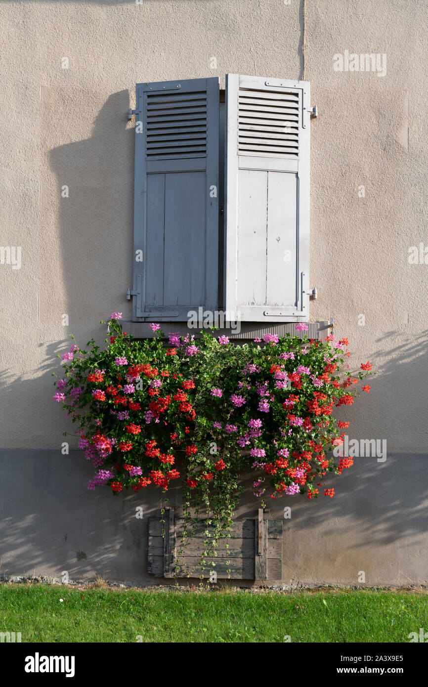 French window flowers hi-res stock photography and images - Alamy