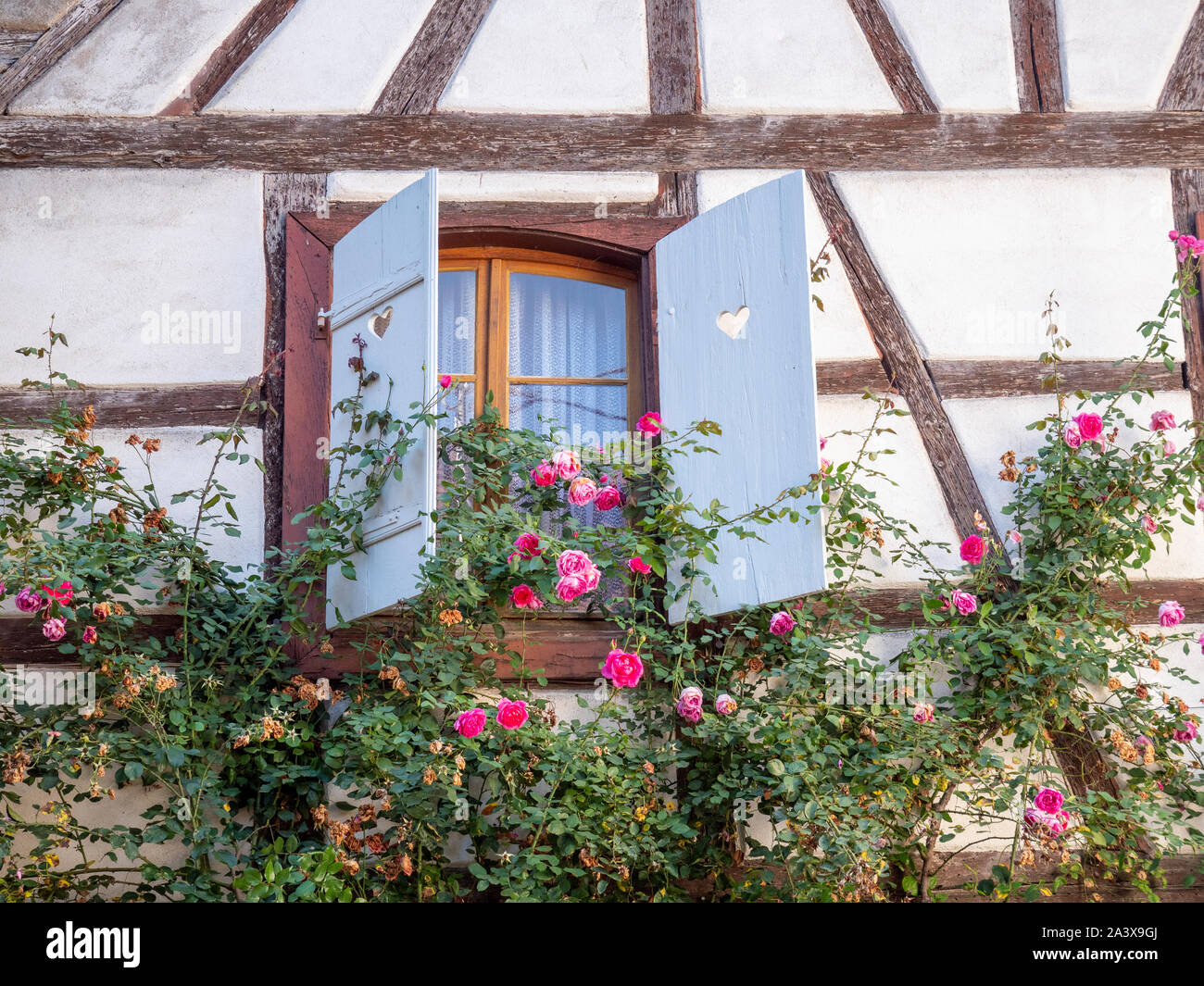 Pretty window with shutters on an old building in Alsace France Stock ...