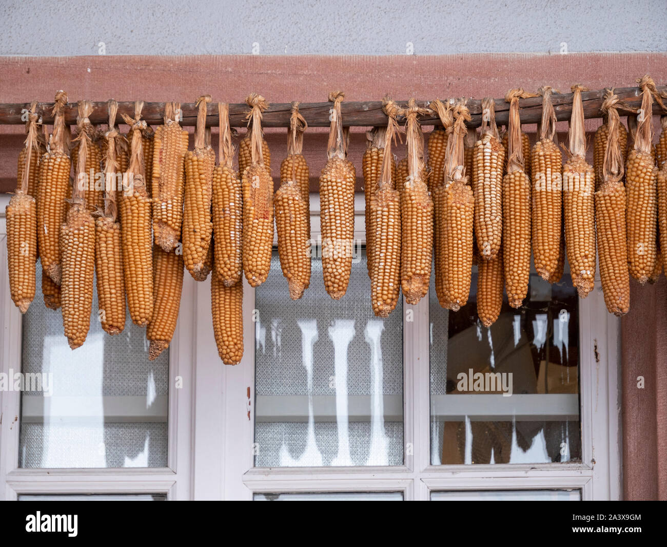 Window on an old building in Alsace France with corn on the cob or ...