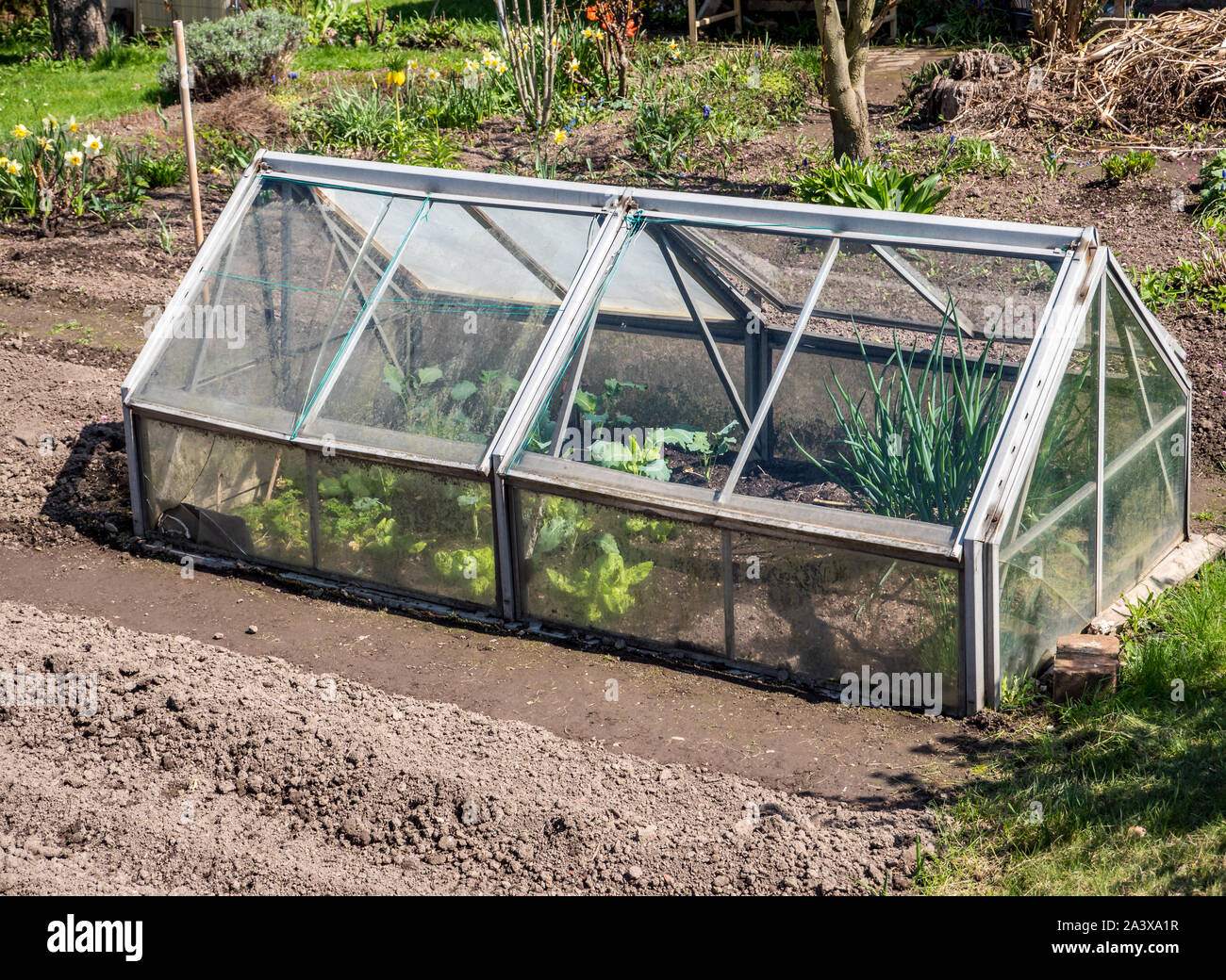 Traditional wooden greenhouse window hi-res stock photography and ...