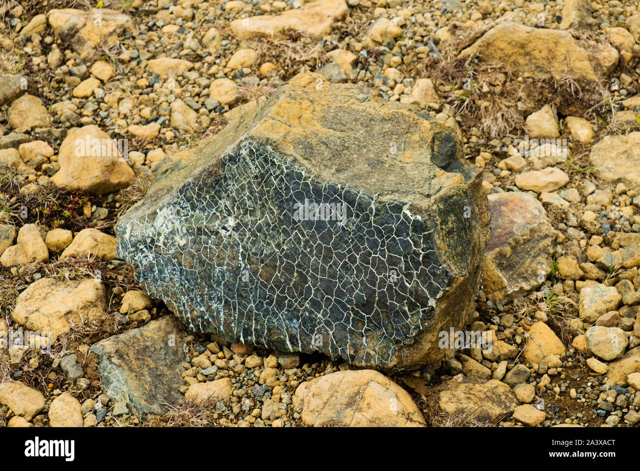 Serpentinite hi-res stock photography and images - Alamy