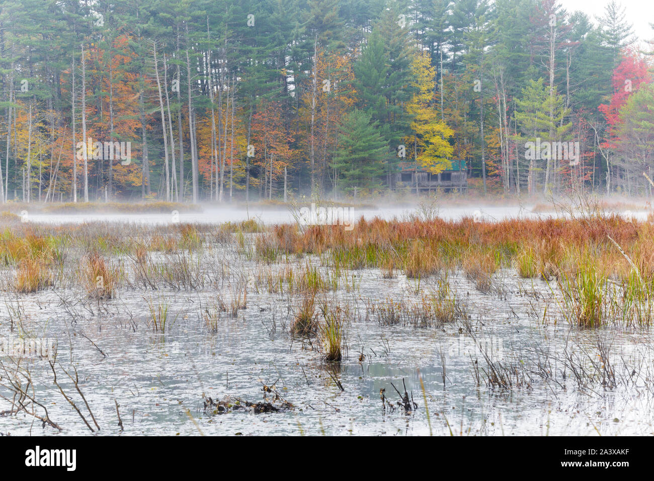 50 acre hi-res stock photography and images - Alamy