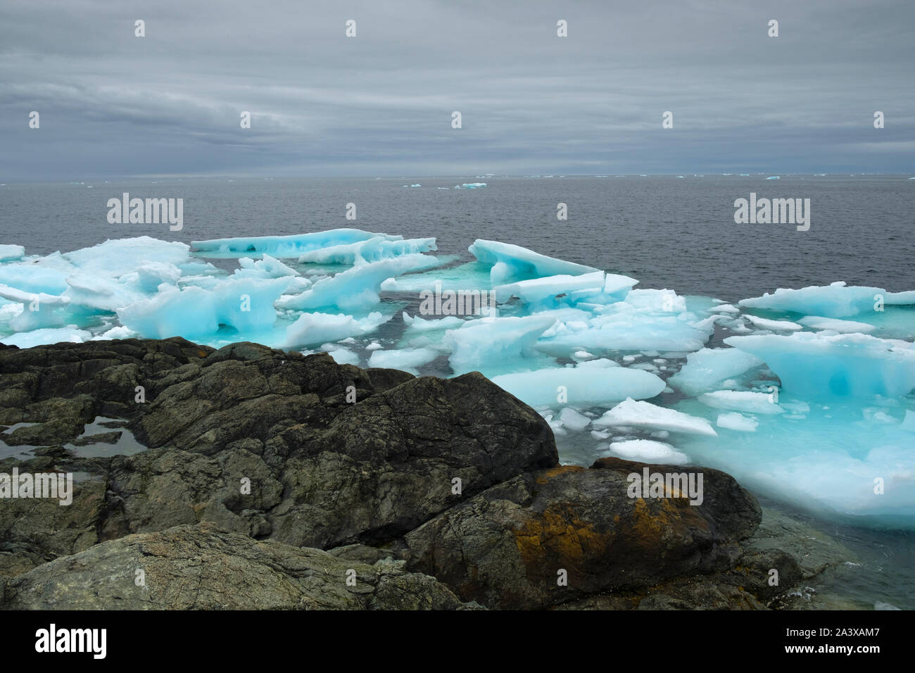 Pack ice floats near the rocky coast at St. Anthony, Newfoundland Stock ...