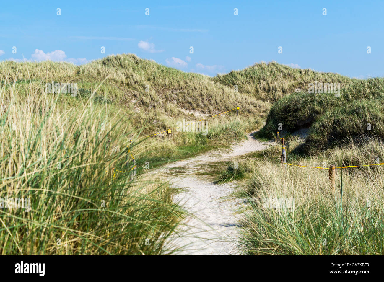 Dune landscape at the North Sea Stock Photo - Alamy