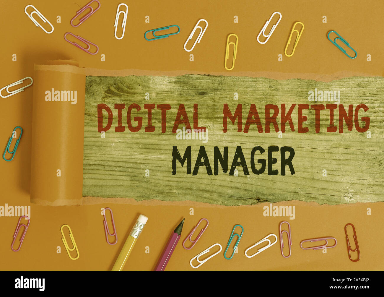 Conceptual hand writing showing Digital Marketing Manager. Concept ...