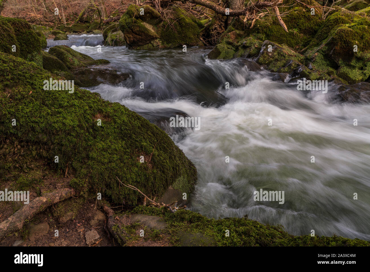 Waterfall swamp hi-res stock photography and images - Alamy