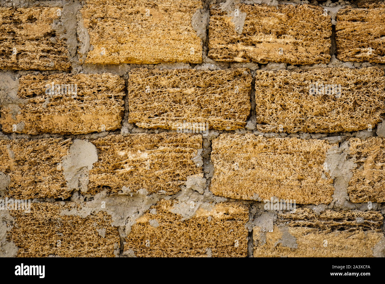 Brick wall of yellow shell rock. Closeup of shellstone texture ...