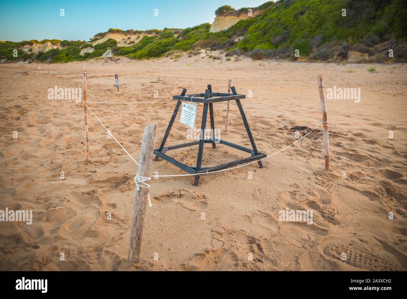 Turtle nest. Loggerhead sea turtle nesting site. Special constructions ...