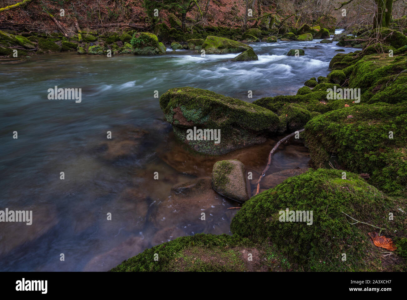 Waterfall in the forest in autumn, Irrel waterfalls Stock Photo - Alamy